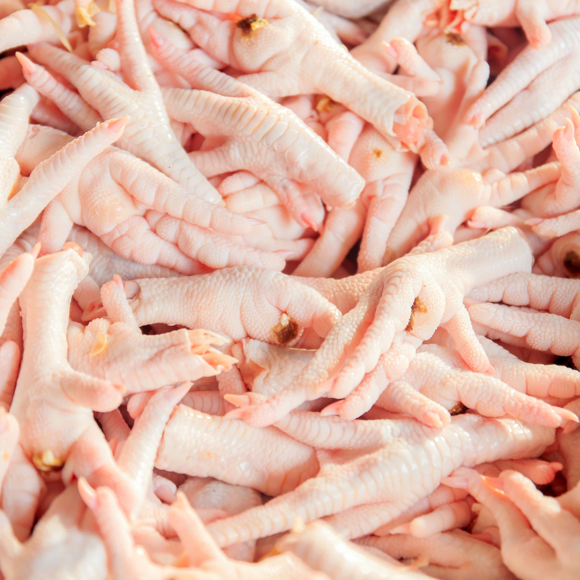 Patas de pollo - Graffoods - Productos mayoristas