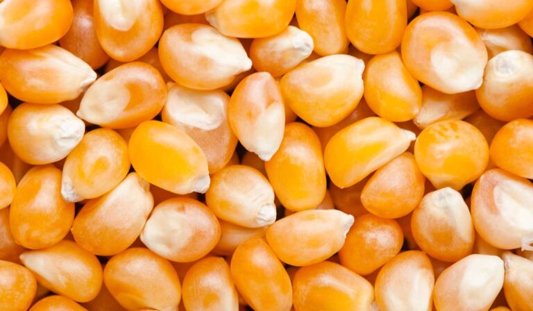PopCorn - Graffoods - Productos mayoristas